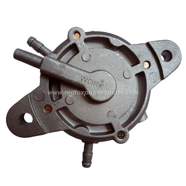 Fuel Pump Large | redfoxpowersports